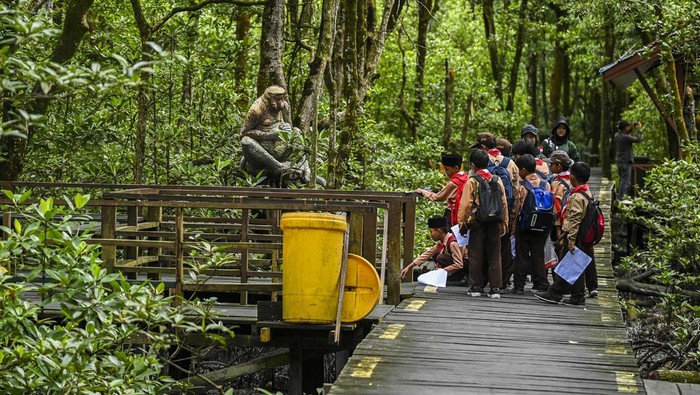 Mengenal Kisah Tarakan Field di Ujung Utara Kalimantan