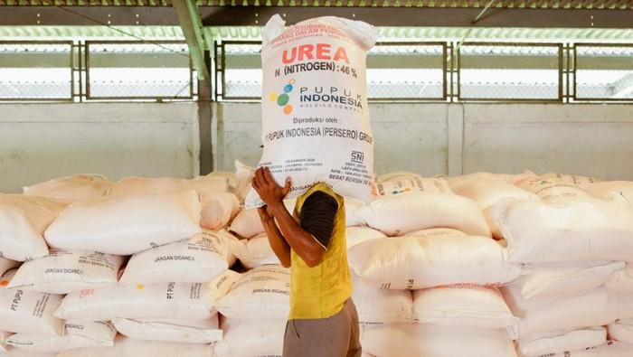Petani Mesti Tahu, Pupuk Subsidi Hanya untuk 9 Komoditas Ini Petani Mesti Tahu, Pupuk Subsidi Hanya untuk 9 Komoditas Ini