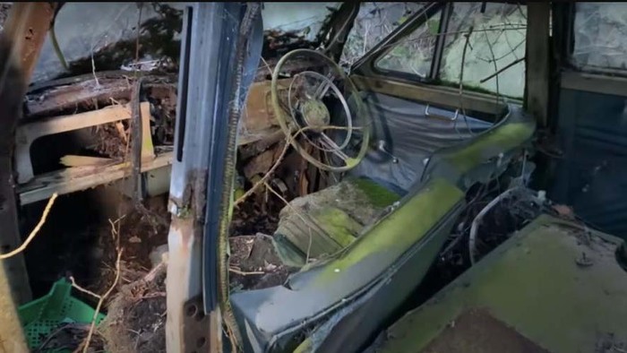 Ada Kuburan Mobil Klasik di Hutan Ini, Begini Potretnya!