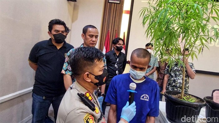 Tanam Ganja di Pot Bunga di Rumah, Pria Sukabumi Ditangkap Tanam Ganja di Pot Bunga di Rumah, Pria Sukabumi Ditangkap