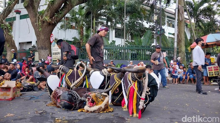 Seni Jaranan hingga Reog di Malang