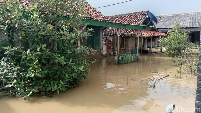 Potret Banjir Rob yang Terjang 3 Desa di Indramayu