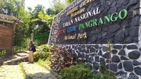 Kabar Gembira, Pendakian Gunung Gede Pangrango Kembali Dibuka!