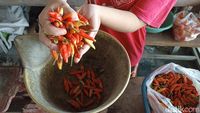 Harga Cabai Rawit Merah Makin Pedas, Ini Biang Keroknya