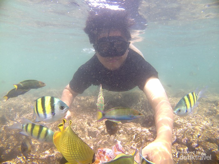 Menikmati Pulau Angso Duo dan Pantai Cerocok, Hidden Gems Sumbar