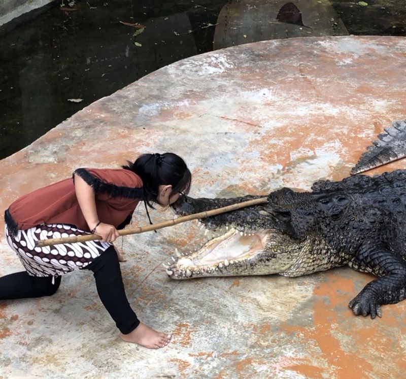 Predator Fun Park Daya Tarik Jam Buka Dan Harga Tiket Masuk