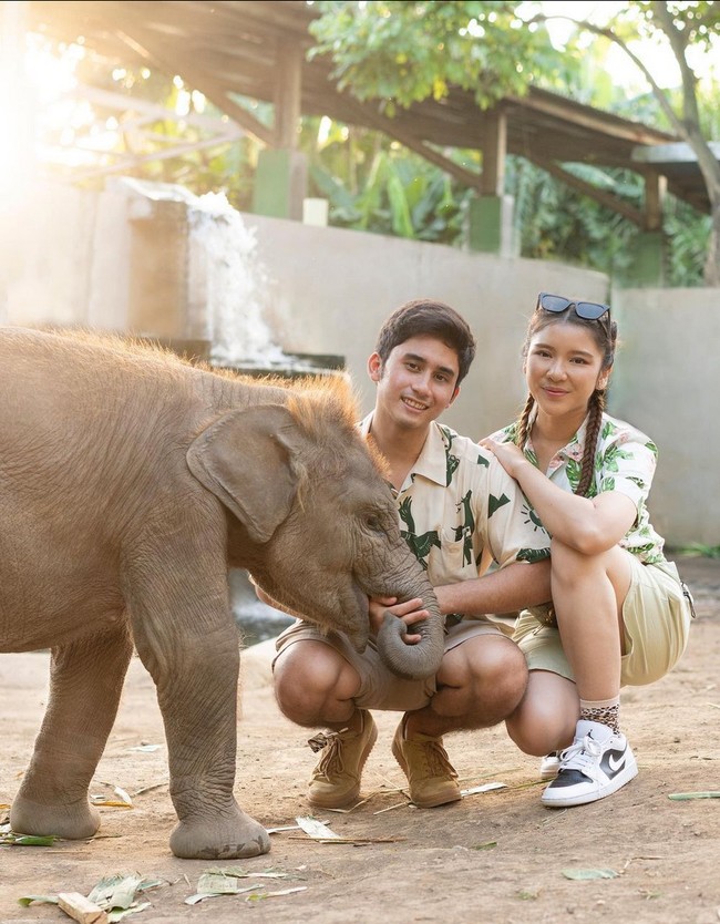 7 Potret Tiara Andini & Alshad Ahmad Foto Bak Prewedding Bareng Hewan Eksotis