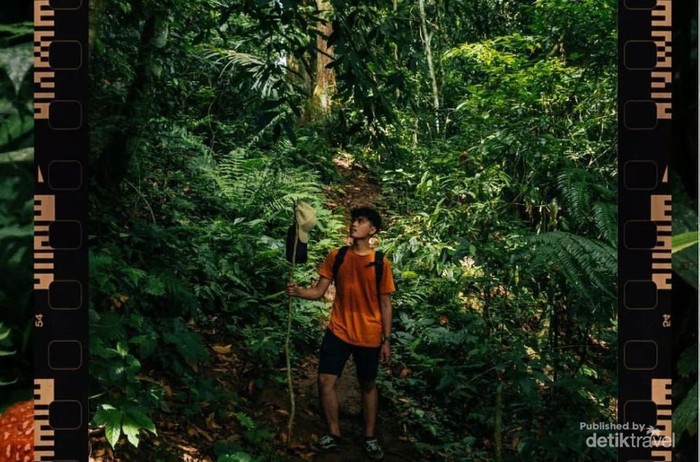 Terkagum-kagum Melihat Rafflesia Arnoldii untuk Pertama Kalinya