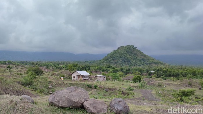 Savana Tianyar Bali, Kondisimu Kini