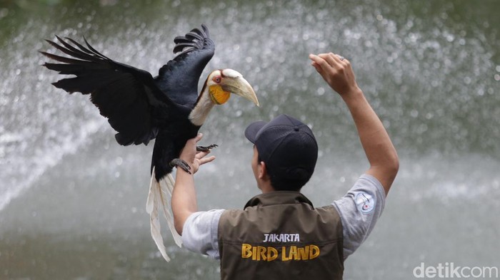 Melihat Ragam Koleksi Burung di Jakarta Bird Land Ancol