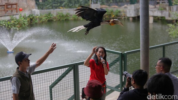 Melihat Ragam Koleksi Burung di Jakarta Bird Land Ancol