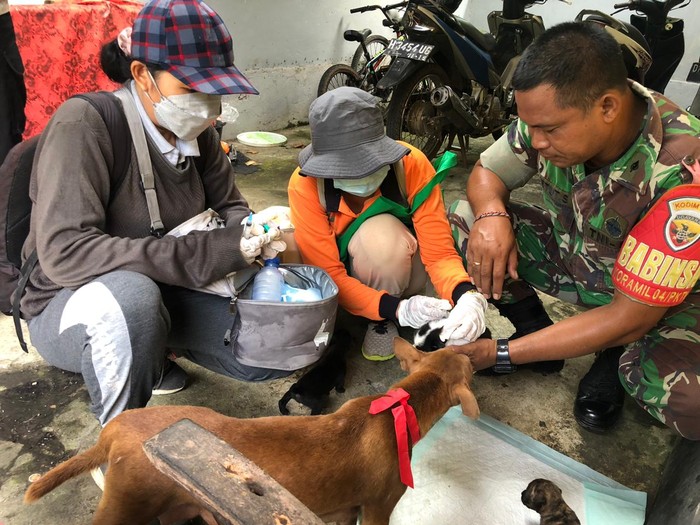 Vaksinasi Rabies Digencarkan, Sasar Objek Wisata di Jembrana Vaksinasi Rabies Digencarkan, Sasar Objek Wisata di Jembrana