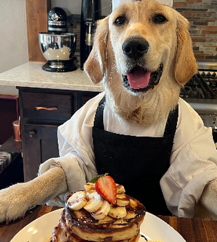 Gemas! 10 Momen Masak Chef Badger, Anjing Golden Retriever yang Jago Masak