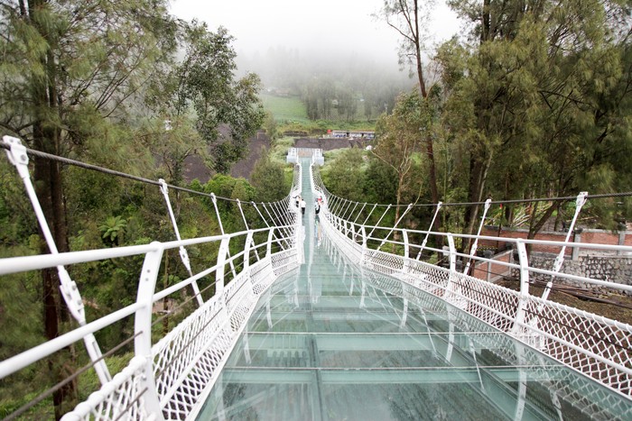 Jembatan Kaca Seruni Point, Calon Spot Asyik Nikmati Gunung Bromo Jembatan Kaca Seruni Point, Calon Spot Asyik Nikmati Gunung Bromo