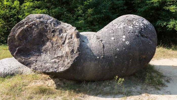 Begini Penampakan Trovant, Batu Misterius dari Rumania yang 'Bernyawa'