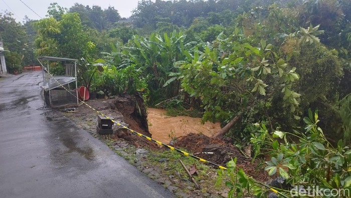 Talut Sungai Coto Semarang Longsor, Ternak Warga Sekargading Hanyut Talut Sungai Coto Semarang Longsor, Ternak Warga Sekargading Hanyut