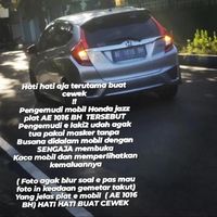 Pengendara Jazz di Ponorogo Viral Pamer Alat Kelamin