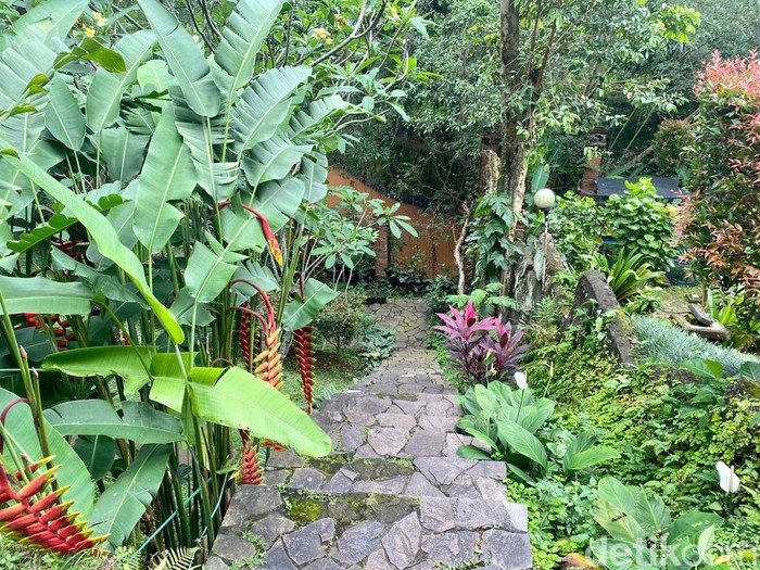 Hidden Gem di Cinere, Kafe di Pinggir Kali yang Asri