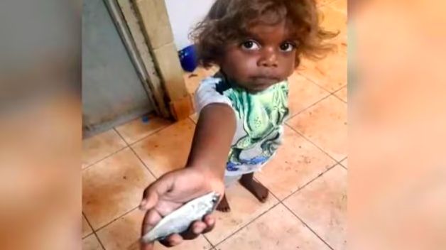 Fenomena Hujan Ikan Terjadi di Australia Fenomena Hujan Ikan Terjadi di Australia