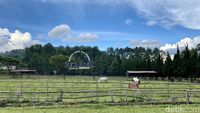 Tiket Masuk dan Fasilitas De Ranch Lembang Bandung
