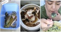 Video Masak Bubur Katak Ini Bikin Netizen Risih dan Mual