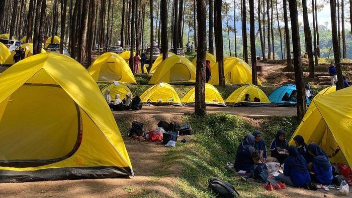 Alas Veenuz Trawas Mojokerto Surga Bagi Yang Suka Camping Dan Piknik