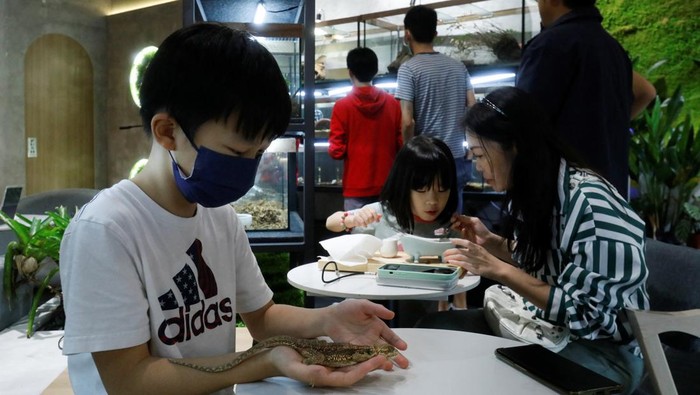 Sensasi Makan Bareng Ular dan Kadal di Kafe Reptil Malaysia