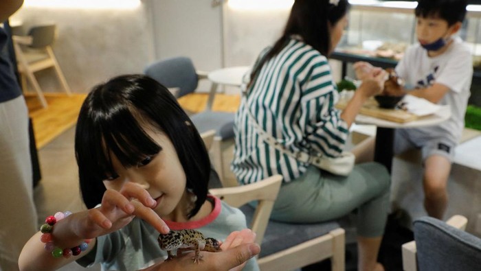 Sensasi Makan Bareng Ular dan Kadal di Kafe Reptil Malaysia