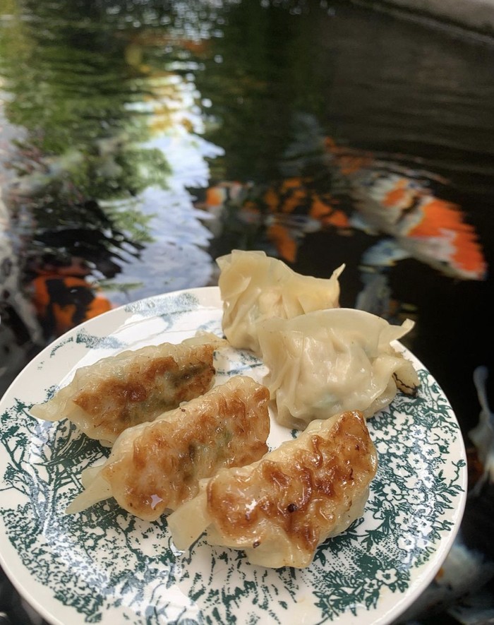 Mantul! 20 Kuotie Isi Ayam yang Gurih Ada di Sini