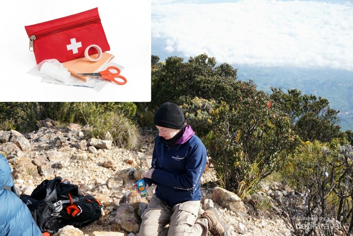 Pendaki Wajib Tau, Ini Pertolongan Pertama Digigit Ular