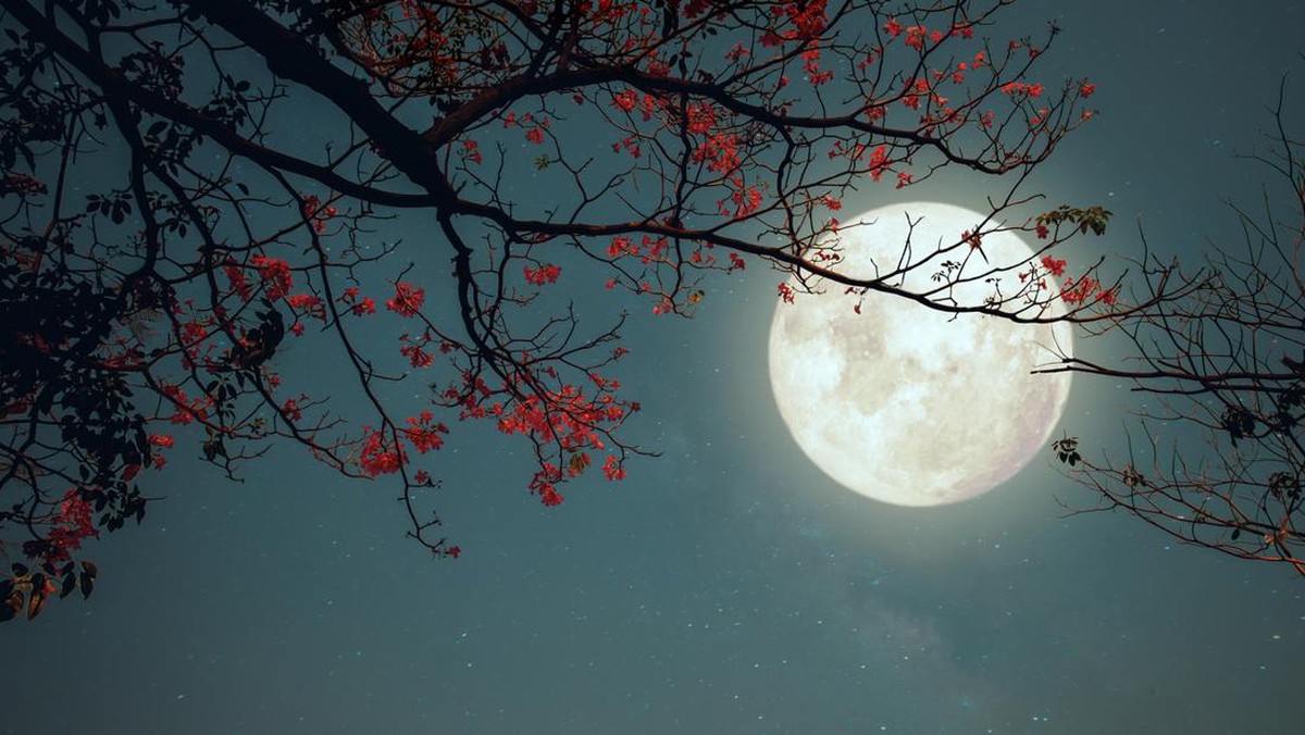 Fenomena Purnama 'Buck Moon' Bakal Terjadi 10 Juli 2025, Apa Itu?