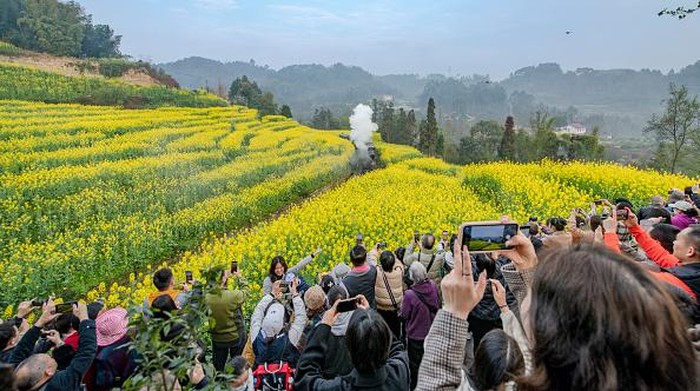 Saat Kereta Uap Melintasi Lautan Bunga di China, Indah Banget