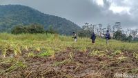 Ajang Motor Trail dan Offroad Dilarang Usai Insiden Ranca Upas