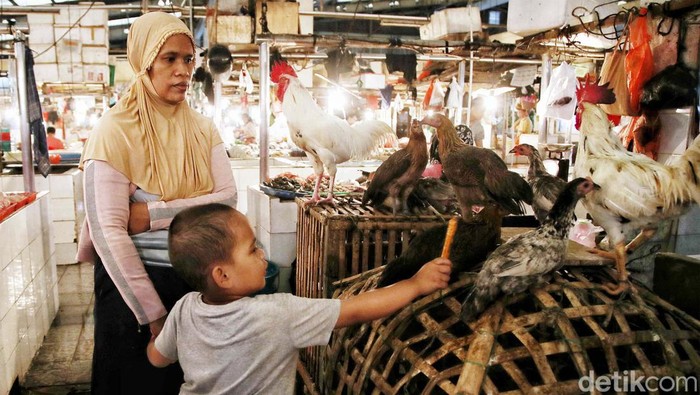 Harga Ayam Potong Merangkak Naik Jelang Ramadan