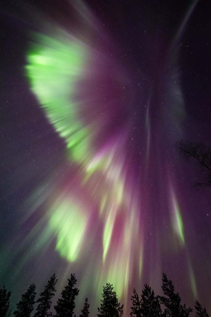 Mengenal Aurora, Cahaya Kutub yang Bersinar Indah
