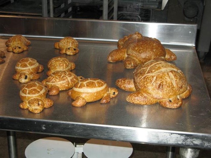 10 Roti Bentuk Wajah Manusia hingga Bebek yang Lucu Sampai Menyeramkan