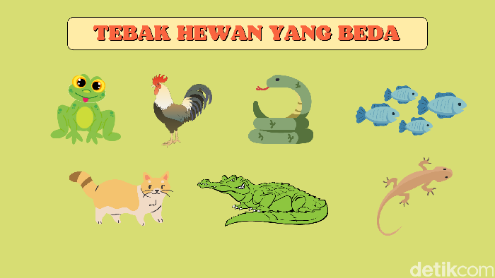Malam Mingguan di Rumah Saja? Cek Kapasitas Otak Dulu di Sini Malam Mingguan di Rumah Saja? Cek Kapasitas Otak Dulu di Sini