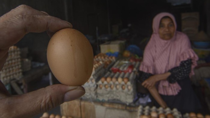 Harga Telur di Palu Naik Jelang Ramadan Harga Telur di Palu Naik Jelang Ramadan