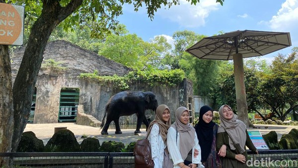 Ide Aktivitas Seru di Ragunan, Tak Hanya Lihat Satwa!