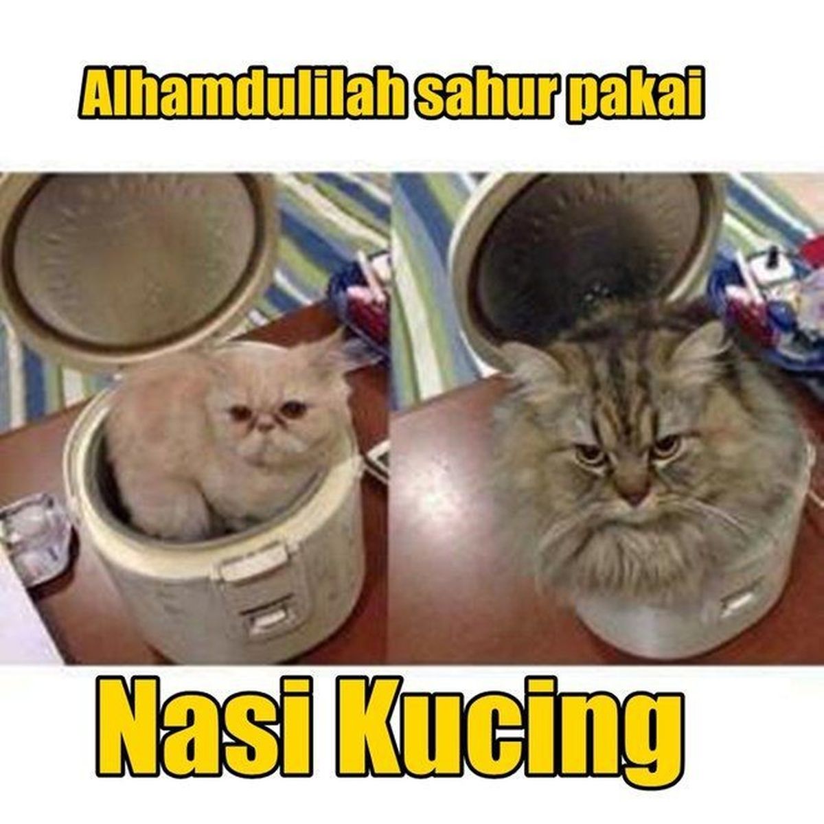 Memes Waktu Sahur