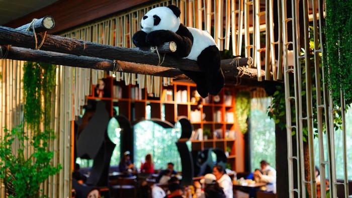 Kedai Kopi Bertema Panda di Beijing Ini Bikin Gemas Banget