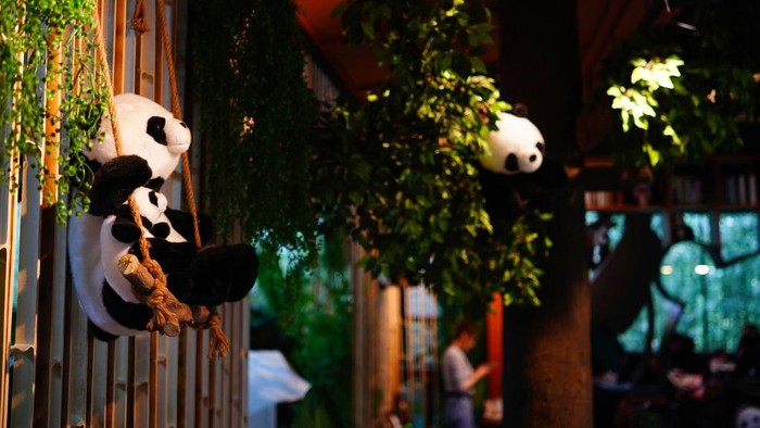 Kedai Kopi Bertema Panda di Beijing Ini Bikin Gemas Banget