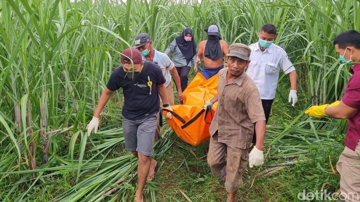 Ciri Jenazah Ibu dan Bayinya yang Ditemukan di Tengah Ladang Tebu Kediri Ciri Jenazah Ibu dan Bayinya yang Ditemukan di Tengah Ladang Tebu Kediri