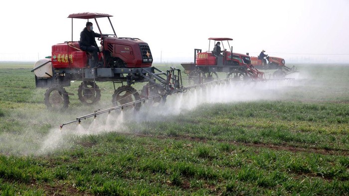 Potret Kecanggihan Sistem Pertanian-Peternakan Pintar di China