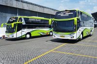 Mau Mudik Pakai Sleeper Bus? Siapkan Uang Segini