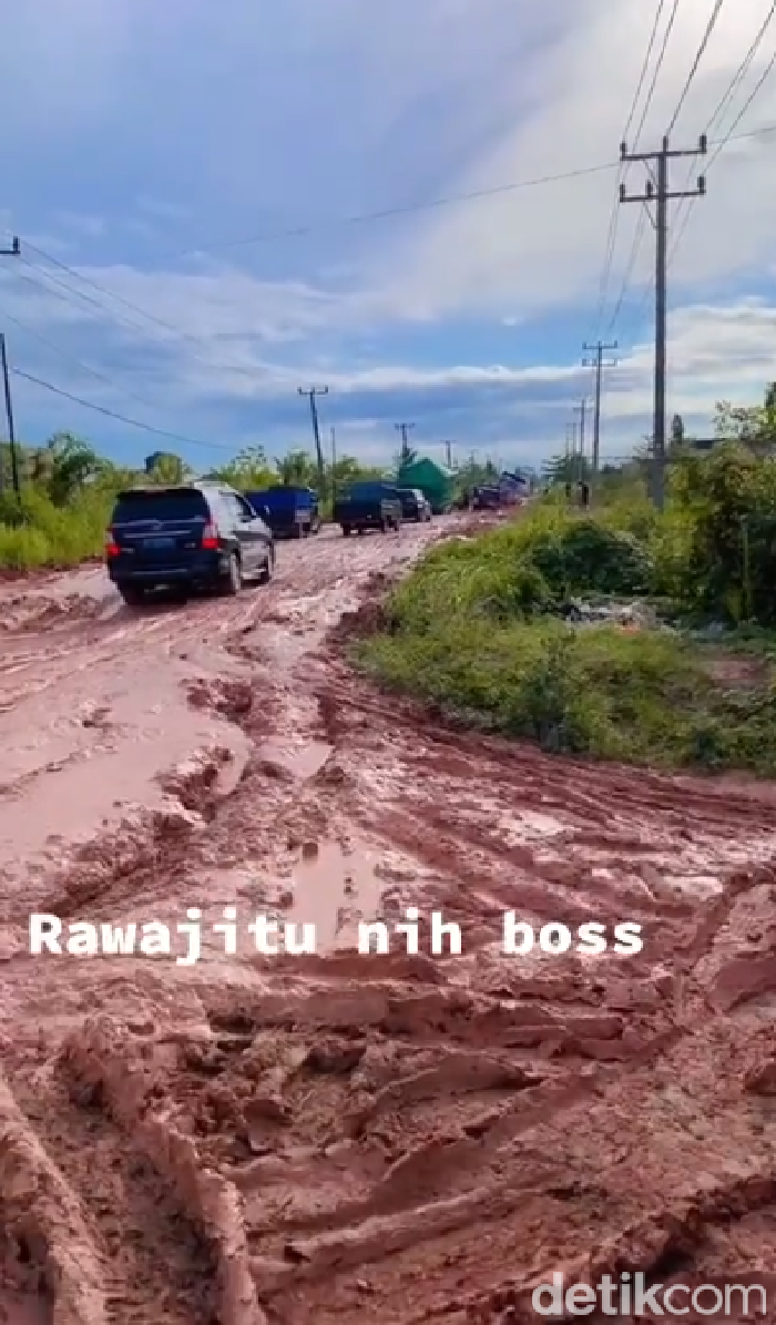 10 Potret Jalan di Lampung yang Rusak Parah, Sudah Mirip Waterboom