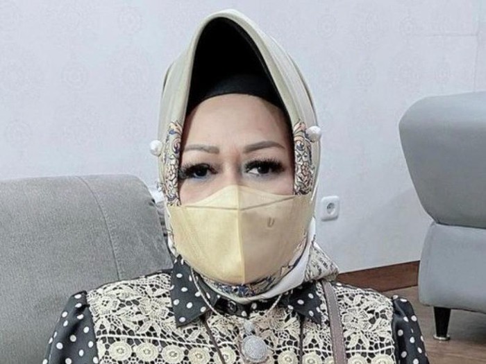 10 Potret Hedon-Nyentrik Reihana yang 14 Tahun Jabat Jadi Kadinkes Lampung