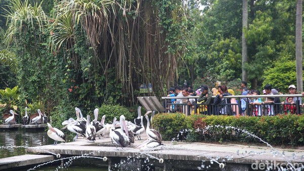 Ragunan Dipenuhi Ribuan Pengunjung saat Hari Kedua Lebaran