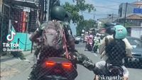 7 Fakta Aksi TNI Tendang Pemotor Ibu-Anak di Bekasi