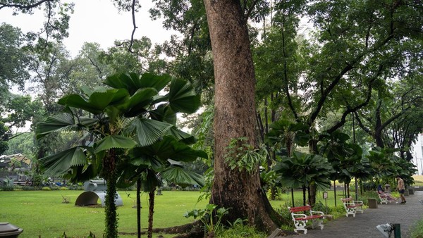 Main ke Taman Suropati, Bisa Ngapain aja?